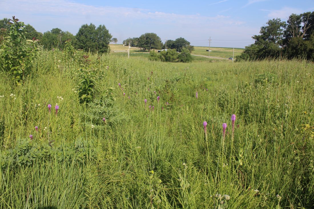 Local Santa Fe Trail enthusiasts plan to improve access to surviving ...